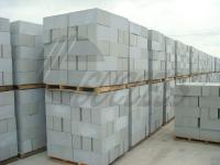 China Autoclaved Aerated Concrete Production Line AAC Block Making Plant 100000m3 for sale