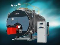 China Gas / Coal / oil fired steam boiler High Pressure Steam Horizontal Steam Boiler for sale