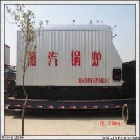 China CE Certificate approval coal fired steam boiler biomass steam boiler 1-30ton/hr steam capacity for sale