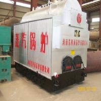 China CE Certificate approval coal fired steam boiler biomass steam boiler 1-30ton/hr steam capacity for sale