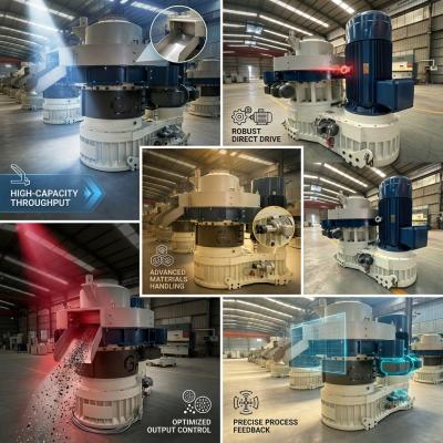 China SKF Bearing Equipped Industrial Wood Pellet Machine 132KW Ring Die Biomass Pelletizer With Extended Service Life for sale