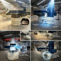 China Multi Biomass Raw Material Wood Pellet Press Machine For Sawdust Rice Husk Straw Bagasse Palm Fiber Processing for sale