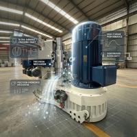 China CE ISO 9001 SGS Certified Industrial Wood Pellet Machine 132KW Ring Die Biomass Pelletizer Global Market Compliance for sale