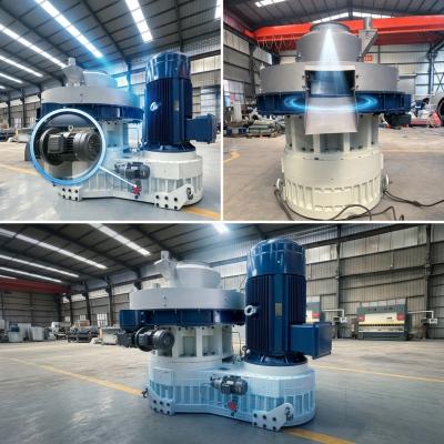 China Comprehensive Warranty Wood Pellet Machine 132KW Global After Sales Service Installation Training Spare Parts Supply for sale