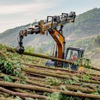 China 20Ton 30Ton Telescopic Arm Telescopic Boom Arm Grapple Tree for sale