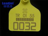 China 1kVA Expiry Date Coding Machine , Industrial Online Inkjet Printer 0.01mm 0.2mm Depth for sale