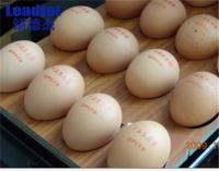 China 50Hz 45Kgs S610 Continuous Inkjet Printer  Egg Printer Machine 110 Volt USB Port for sale