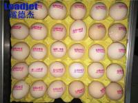China V380PLUS 50Hz Leadjet Inkjet Printer , 6 Lines Automatic Batch Coding Machine  for sale