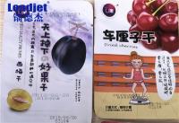 China V98 120m Per Min Small Character Inkjet Printer For Metal Plastic Material MEK Ink Type for sale