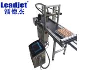 China Leadjet Belt Conveyor Machine 220V 120W 201 Stainless Steel Material for sale