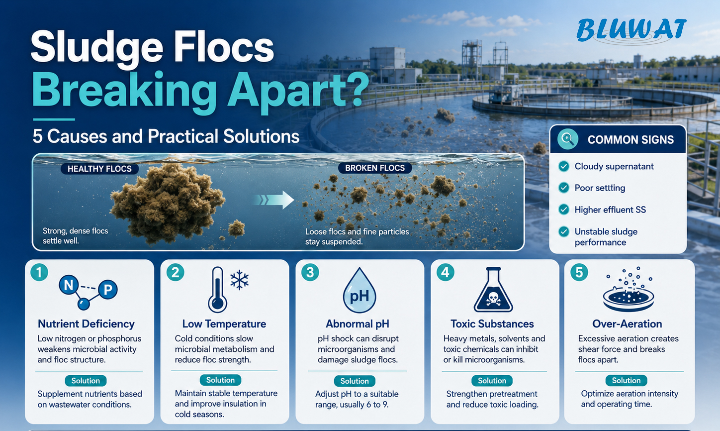 why sludge flocs break apart
