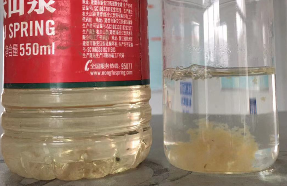Cattle manure wastewater clarification test showing clear water and settled flocs