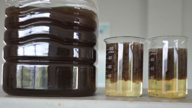 Dark livestock wastewater treated with Decoloring Agent PAC and anionic PAM