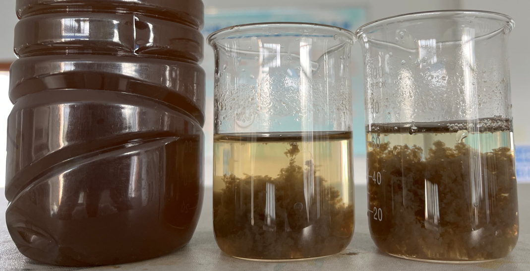 Livestock wastewater jar test achieving COD reduction with Decoloring Agent PAC and PAM