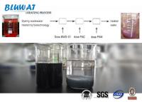China Colour Removal from Textile Waste BWD-01 Water  Decolorizing Agent for sale