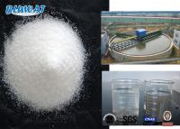 China Blufloc AA5418 Anionic Polyelectrolyte Flocculant - 17-20 Million Molecular Weight for Mining Sedimentation for sale