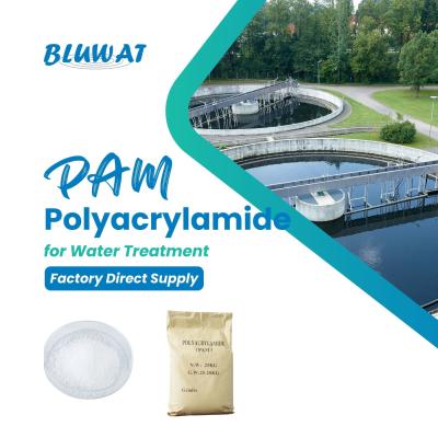 China Water Purification Chemicals Cationic Polyacrylamide Cpam White C3H5NO Industrial Waste Water Treatment for sale