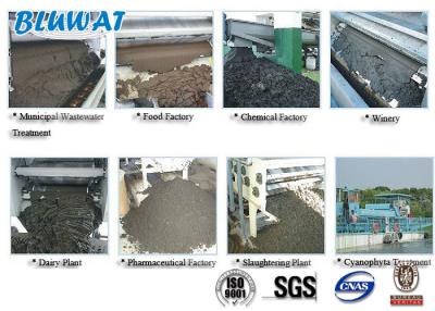 China White Powder Cationic Polyacrylamide CPAM for Sludge Dewatering - 20-100 Mesh, 89% Solid Content for sale
