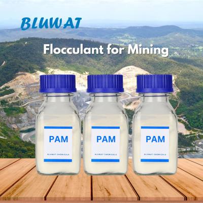 China Polyacrylamide Flocculant Polyelectrolyte For Mining Thickening Tailings Slurry for sale