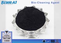 China Bacteria Water Purifying Chemicals Used At Wastewater Treatment Plant for sale