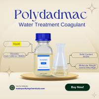 China NSF Certified PolyDADMAC Water Treatment Coagulant 20-50% Solid Content CAS 26062-79-3 for sale