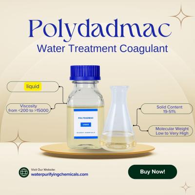 China NSF Certified PolyDADMAC Water Treatment Coagulant 20-50% Solid Content CAS 26062-79-3 for sale