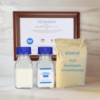 China NSF Certified ACH Powder For Water Treatment In Israel Desalination Wastewater Reuse Industrial for sale