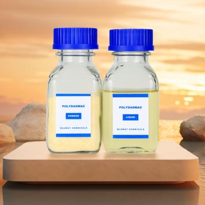 China Industrial Grade PolyDADMAC Liquid Coagulant for Water & Wastewater Treatment in Russia – High Charge Density Polymer for sale