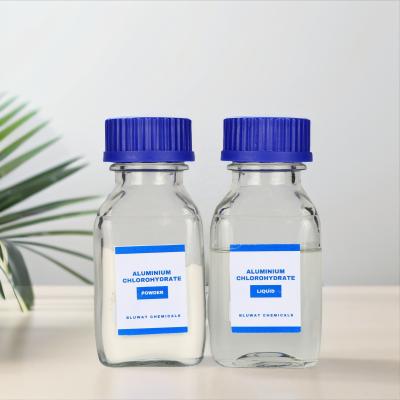 China NSF Certified Aluminum Chlorohydrate ACH 23-25% Water Treatment for sale