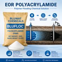 China BLUFLOC Anionic Polyacrylamide 20 to 100 Mesh for Oil and Gas Drilling Fluid Stabilization for sale