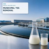 China Anionic Polyacrylamide Emulsion for Municipal Wastewater TSS Removal with Very High Molecular Weight and Oil- and Water-Based Options for sale