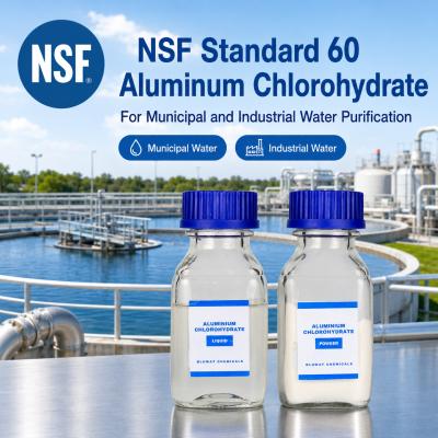 China Aluminum Chlorohydrate ACH Powder & Liquid with 80-85% Basicity and High Al₂O₃ Content for Water Treatment Grade Applications for sale