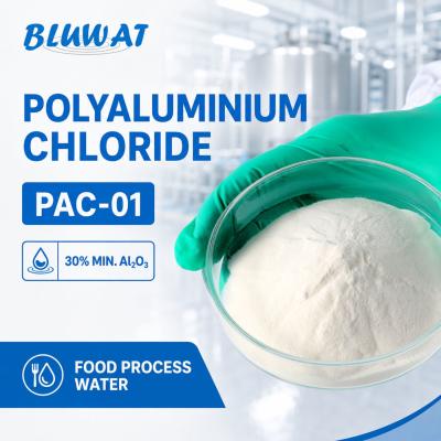 China 30% Min. Al2O3 White Powder PAC-01 Polyaluminium Chloride for Food Process Water Treatment for sale