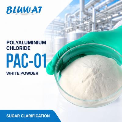 China 45-55% Basicity White Powder PAC-01 Polyaluminium Chloride for Sugar Clarification for sale
