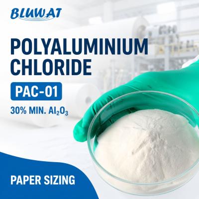 China 30% Min. Al2O3 White Powder PAC-01 Polyaluminium Chloride for Paper Sizing and Retention for sale