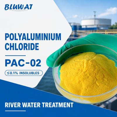 China Spray Dried PAC-02 Polyaluminium Chloride with 30% Min. Al2O3 and 0.1% Max. Insolubles for River Water Treatment for sale