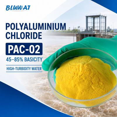 China 45-55% Basicity White Powder 25kg Bag PAC-01 Polyaluminium Chloride for Low-Turbidity Water for sale
