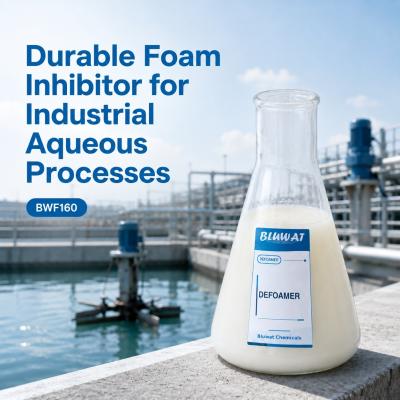 China BWF160 Nonionic Silicone Foam Inhibitor with Long-Lasting Control and 50-300 ppm Dosage for Industrial Aqueous Processes for sale