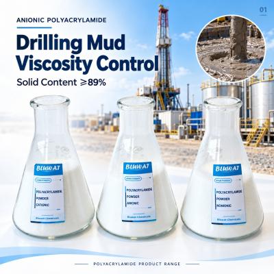 China Anionic Polyacrylamide APAM 2-Year Shelf Life 89% Min Solid for Water-Based Drilling Mud Viscosity Control CAS 9003-05-8 ISO 9001 Manufacturer 25kg PE Bag for sale