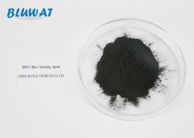 China Active Sludge Treatment Bacteria Microorganism Aerobic Tank Biological Agent for sale