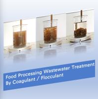 China Food Industry Processing 55295 98 2 Water Decoloring Agent for sale