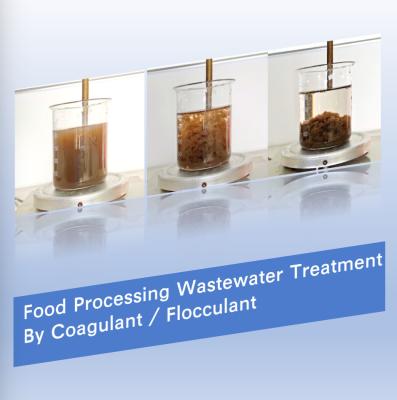 China Food Industry Processing 55295 98 2 Water Decoloring Agent for sale