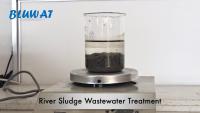 China BV Anionic Polyacrylamide Flocculant River Sludge Wastewater Treatment Sludge Thickening for sale
