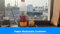 China 50% Food Process Pepper Bluwat Decoloring Agent Wastewater Treatment for sale