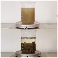 China Papermaking Effluent Treatment Chemicals Decolor Agent Coagulant Color Remove 55295 98 2 for sale