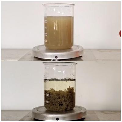 China Papermaking Effluent Treatment Chemicals Decolor Agent Coagulant Color Remove 55295 98 2 for sale
