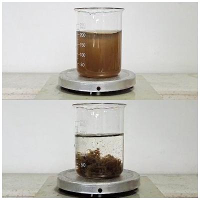 China 50 - 55% Solid Content Colour Removal Chemical For Mushroom Food Processing Wastewater for sale