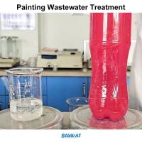 China Painting Water Decoloring Agent Wastewater Treatment Color Remove Chemicals for sale