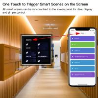 China Wifi Integrated Tuya Smart Life Compatible Devices Home Central Control System for sale