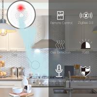 China Alarm System Tuya Smart Life Devices Gas Leakage Detector Combustible Sensor for sale